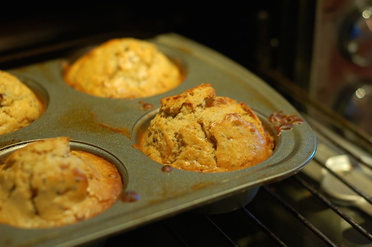 Weekday toaster oven muffins with coconut, chia seeds, and cranberries ...